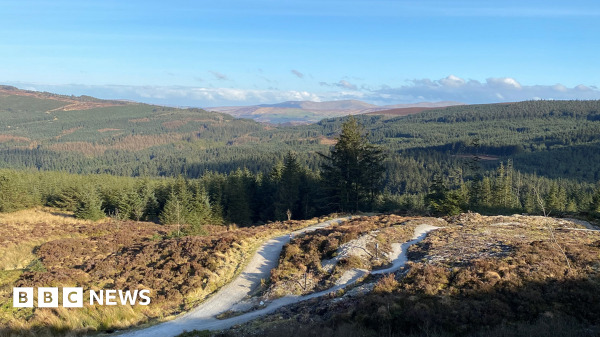First NI environment strategy 'should be more ambitious' - BBC News