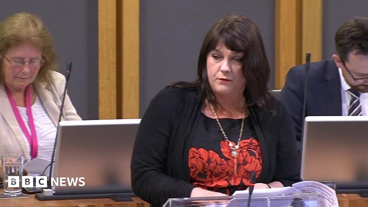 Labour action on AM Passmore's conviction questioned by expert - BBC News
