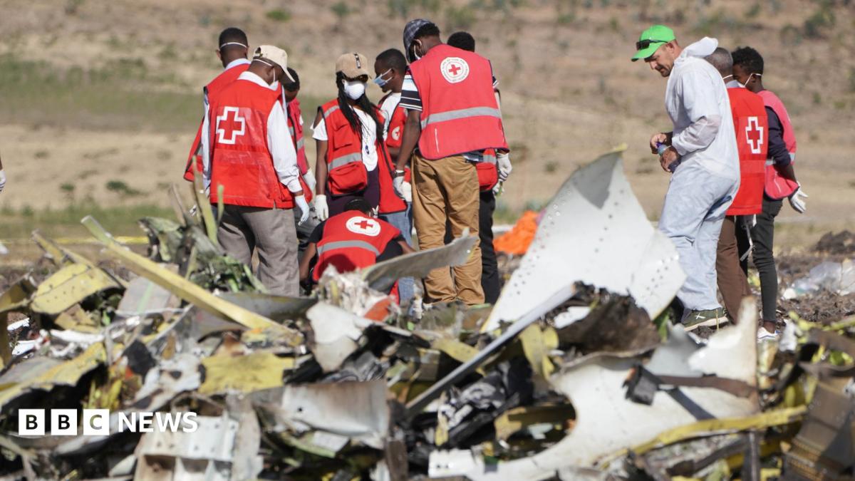 Ethiopian Airlines: Ground all Boeing 737 Max 8 jets, says CEO - BBC News