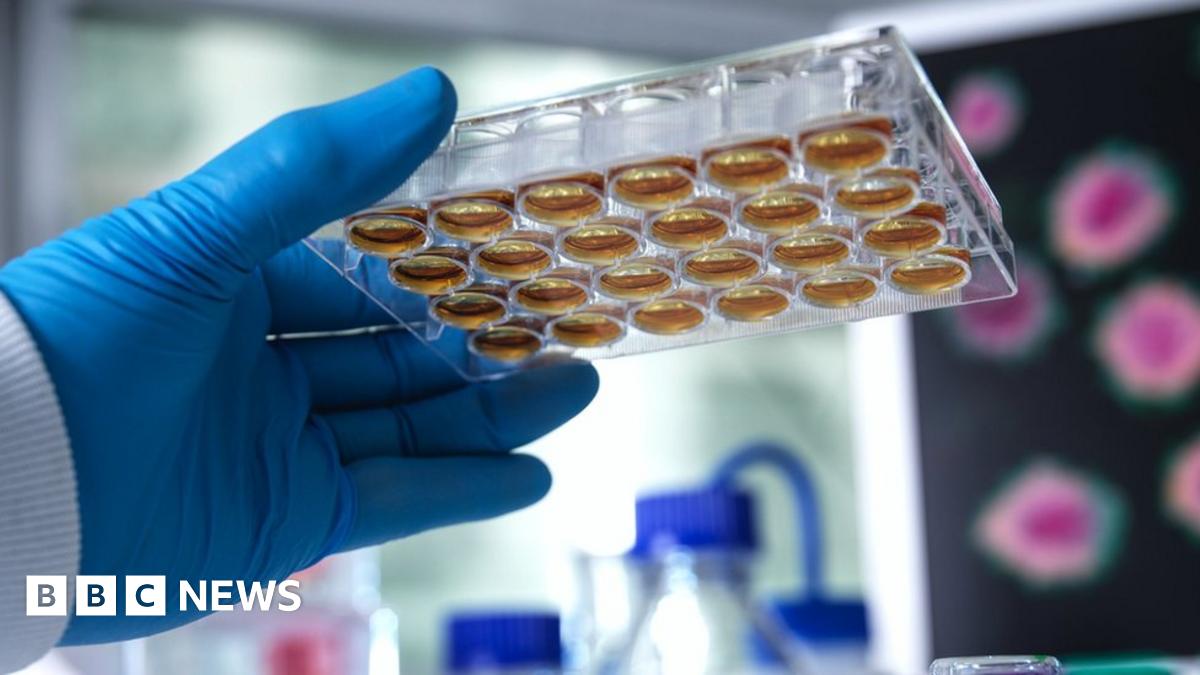 New antibiotic compound very exciting, expert says - BBC News