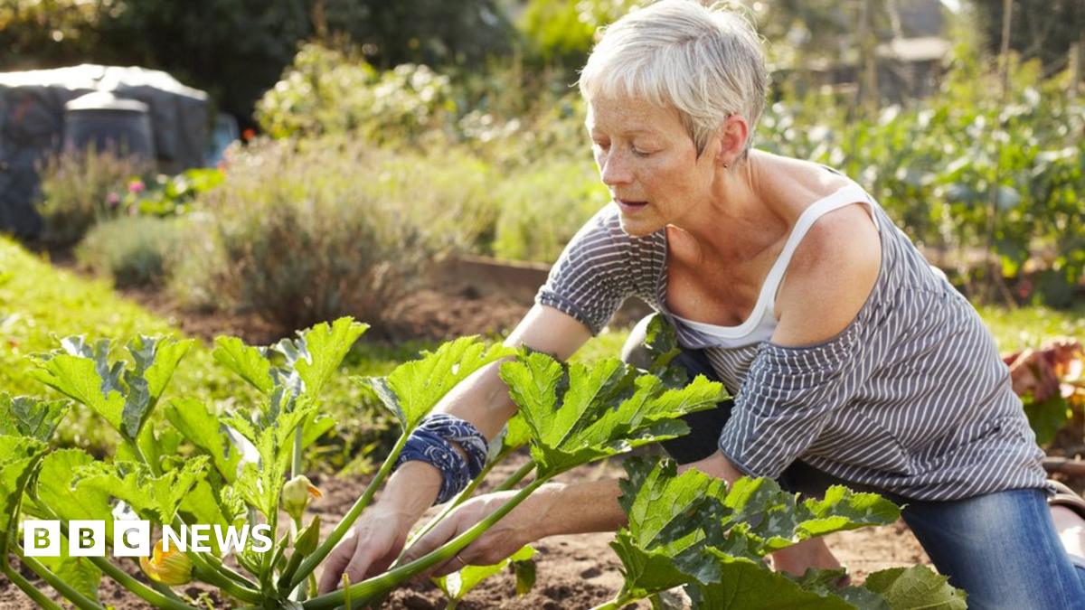 Benefits and state pension increase outpaced by rising prices - BBC News