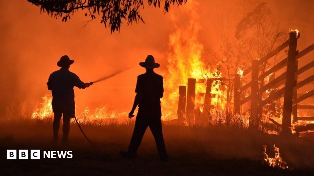 Australia bushfires: Fresh warnings in Queensland and New South Wales ...
