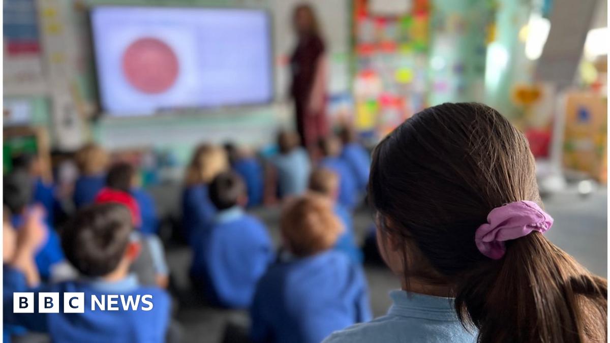 Ofsted and Ruth Perry: MPs launch inquiry into school inspections - BBC ...