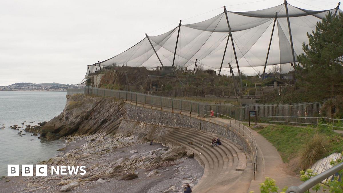 Torquay Living Coasts site set for transformation after deal - BBC News