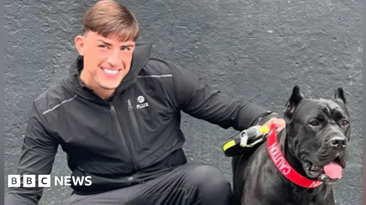 Love Island star Jack Fincham wins appeal in dangerous dog case - BBC News