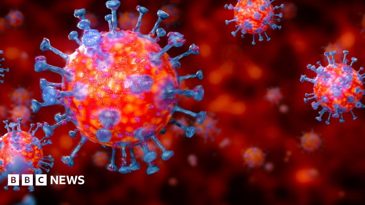 Coronavirus in England: Latest updates on Saturday 28 March - BBC News