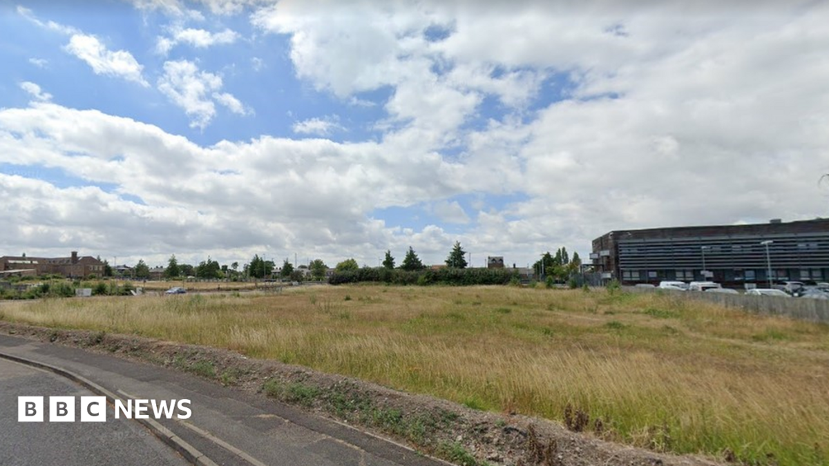 Wisbech development could affect historic port, expert says - BBC News