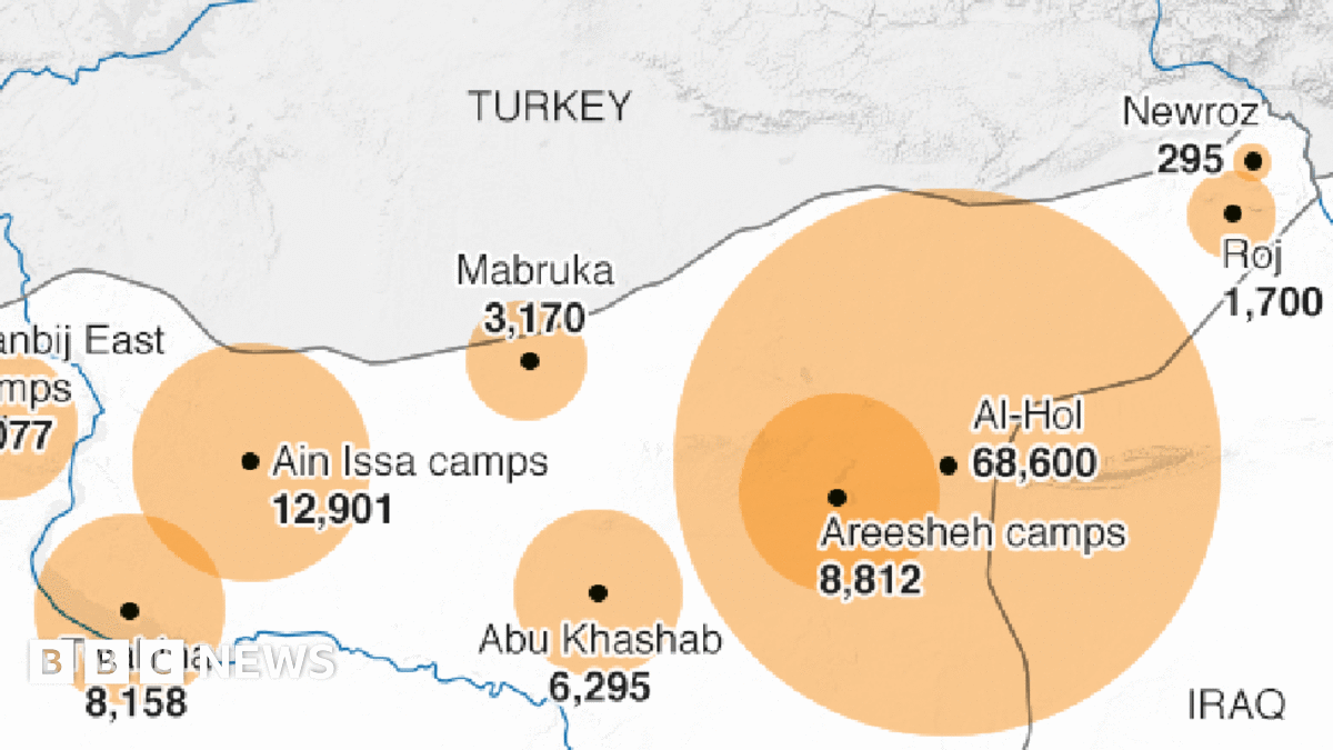 Turkey's Syria offensive explained in four maps - BBC News