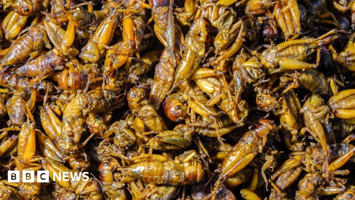 'Locust swarm' forces Ethiopian Airlines plane to divert - BBC News