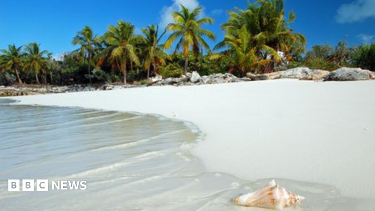 Christmas-in-the-Bahamas job ad overwhelms app - BBC News