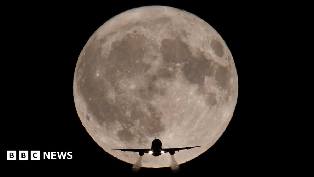 Harvest Moon shines brightly over UK - BBC News