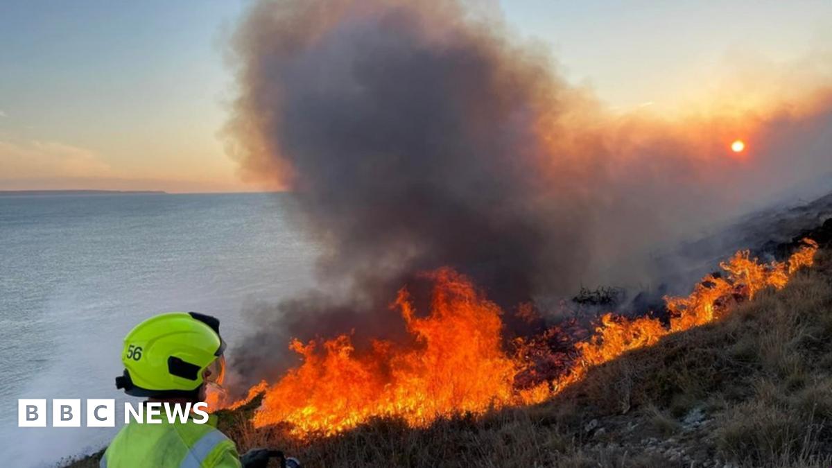 Almost 25,000 wildfires fought in England during summer - BBC News