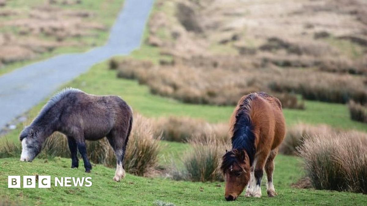 Brecon Beacons: Bannau Brycheiniog rebrand shows why names matter - BBC ...