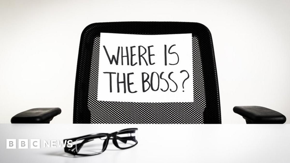 No CEO: The Swedish company where nobody is in charge - BBC News