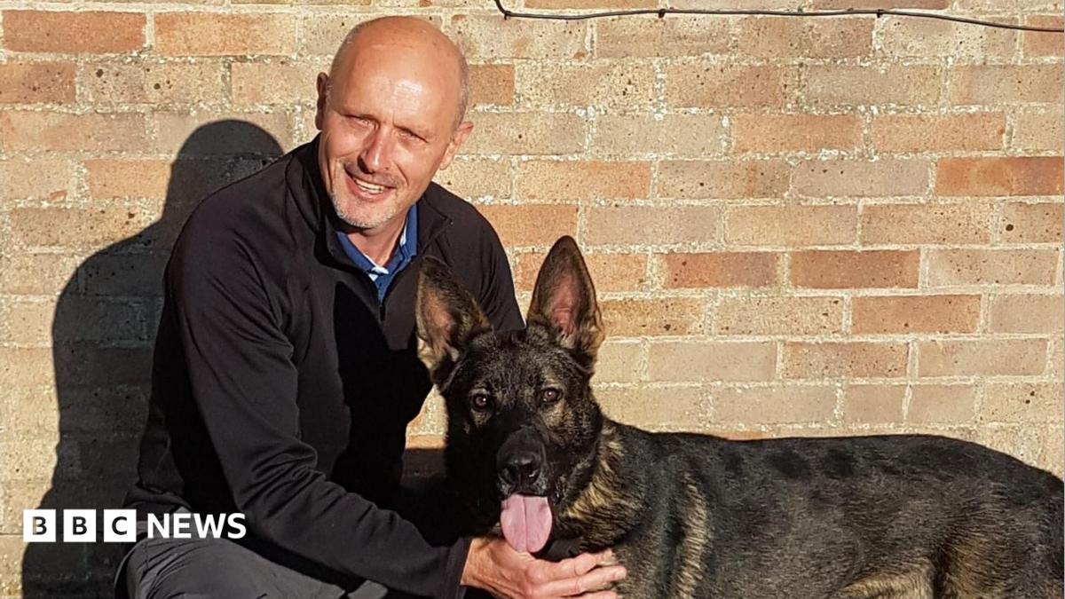 Wiltshire Police dog handler recognised for 50 years of service - BBC News