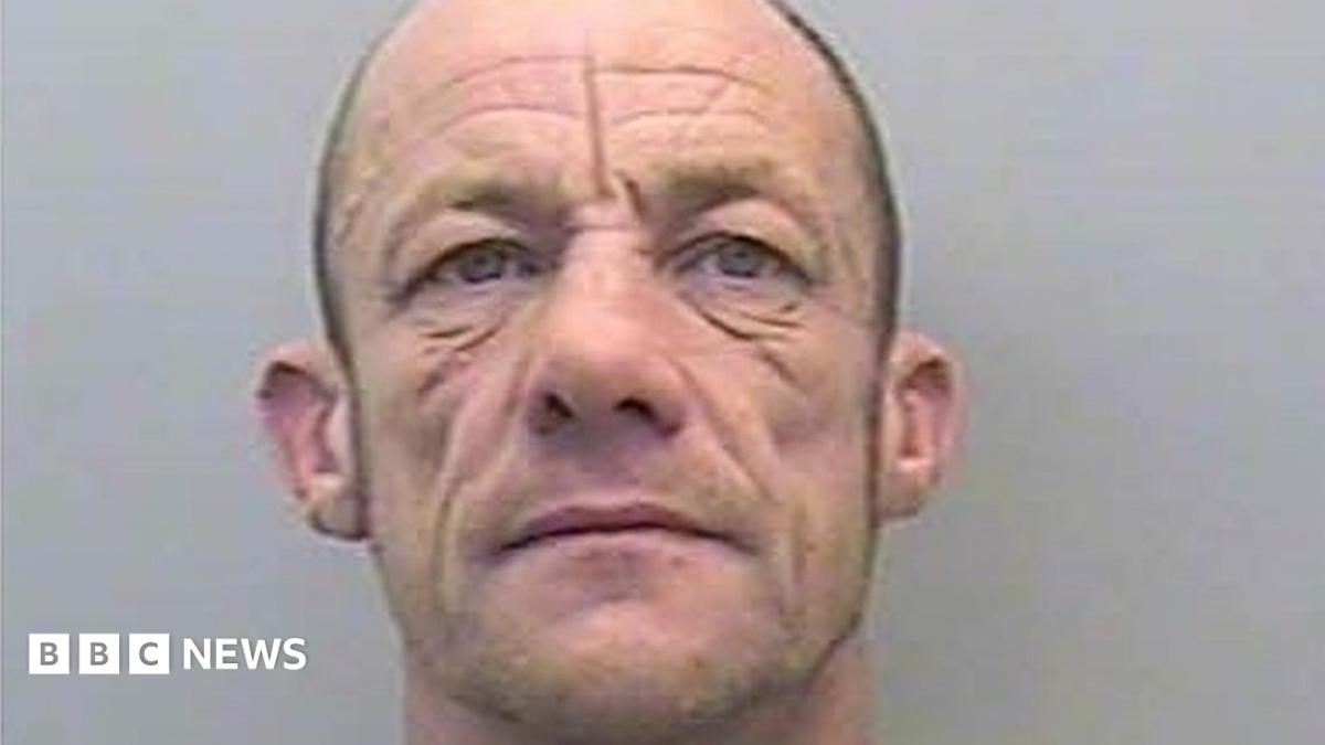 Exeter stabbing: Former paratrooper jailed - BBC News