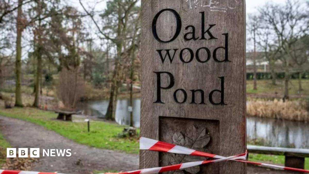 Harlow pond murder inquiry: Man in court over death of Phillip Lewis ...