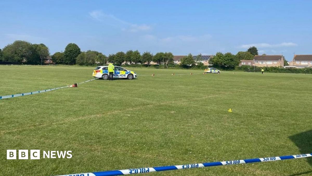 Teen sentenced after stabbing in Swindon park - BBC News