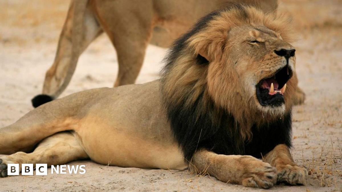 Go Figure: The week in numbers - BBC News