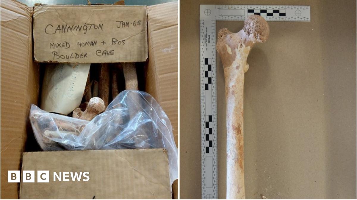 Somerset human remains 'as old as Cheddar Man' - BBC News