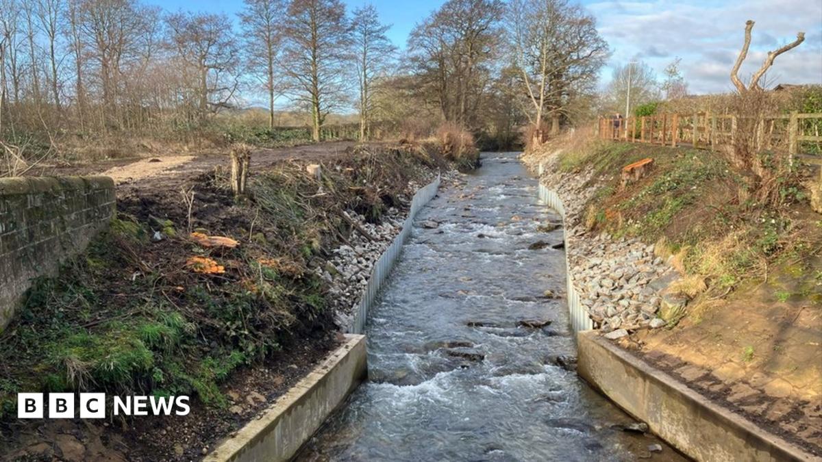 Project to dismantle Derbyshire weir sees fish breed - BBC News