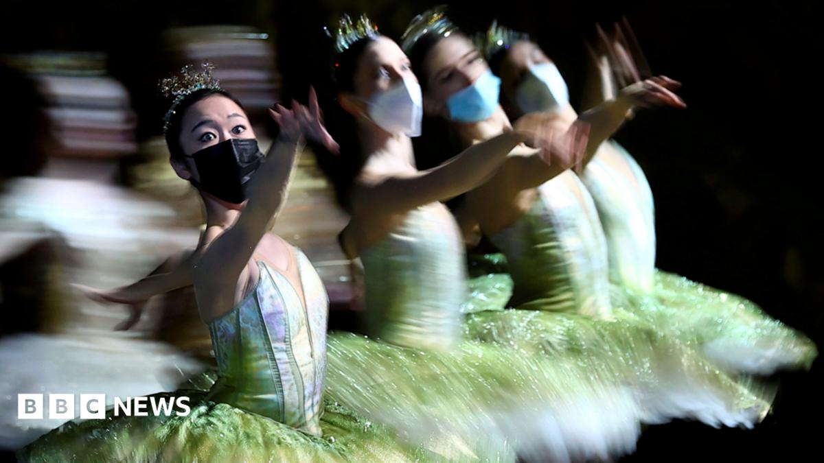 Week in pictures: 27 November - 3 December 2021 - BBC News