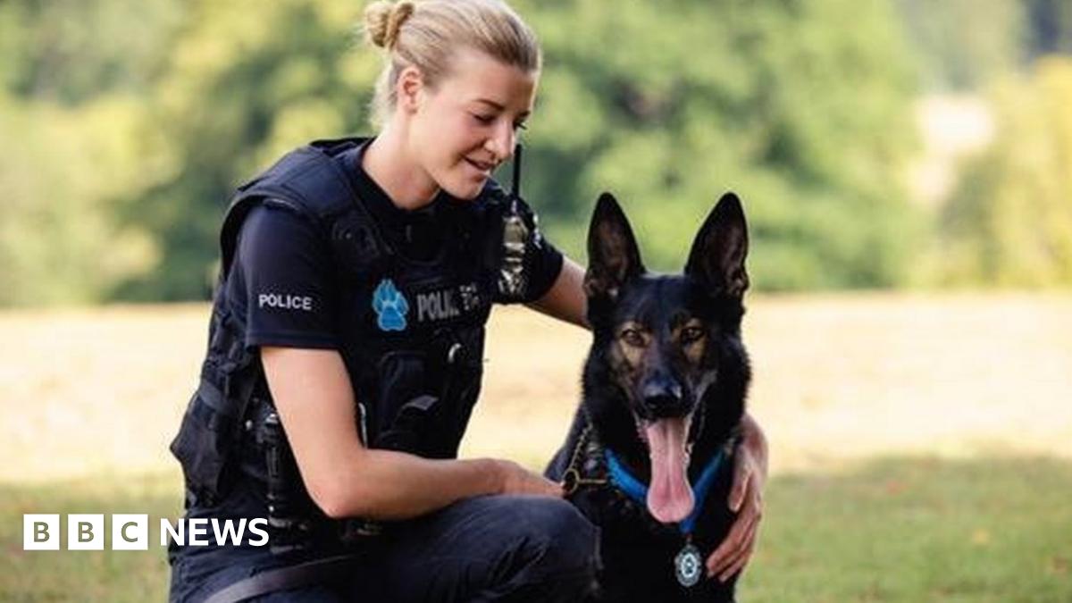 Leicestershire Police dog honoured for outstanding bravery - BBC News