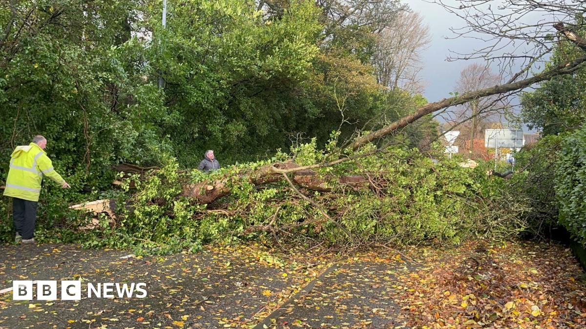 As it happened: Storm Debi brings travel disruption to NI - BBC News