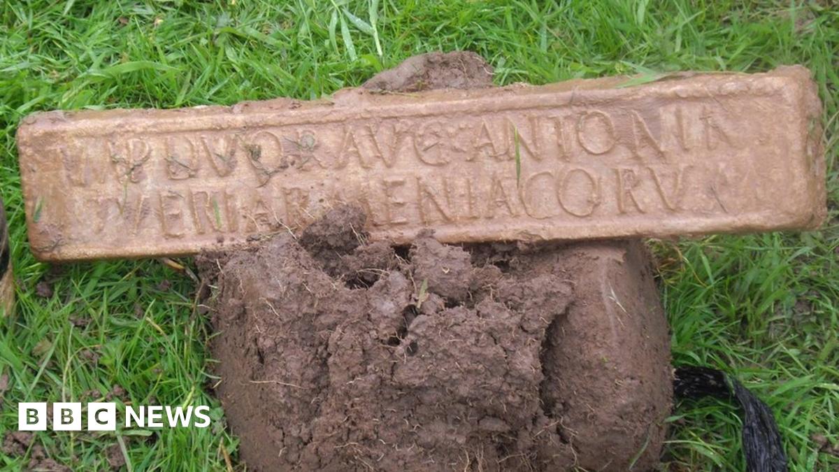 Roman lead pig unearthed on Somerset farm in 'find frenzy' - BBC News