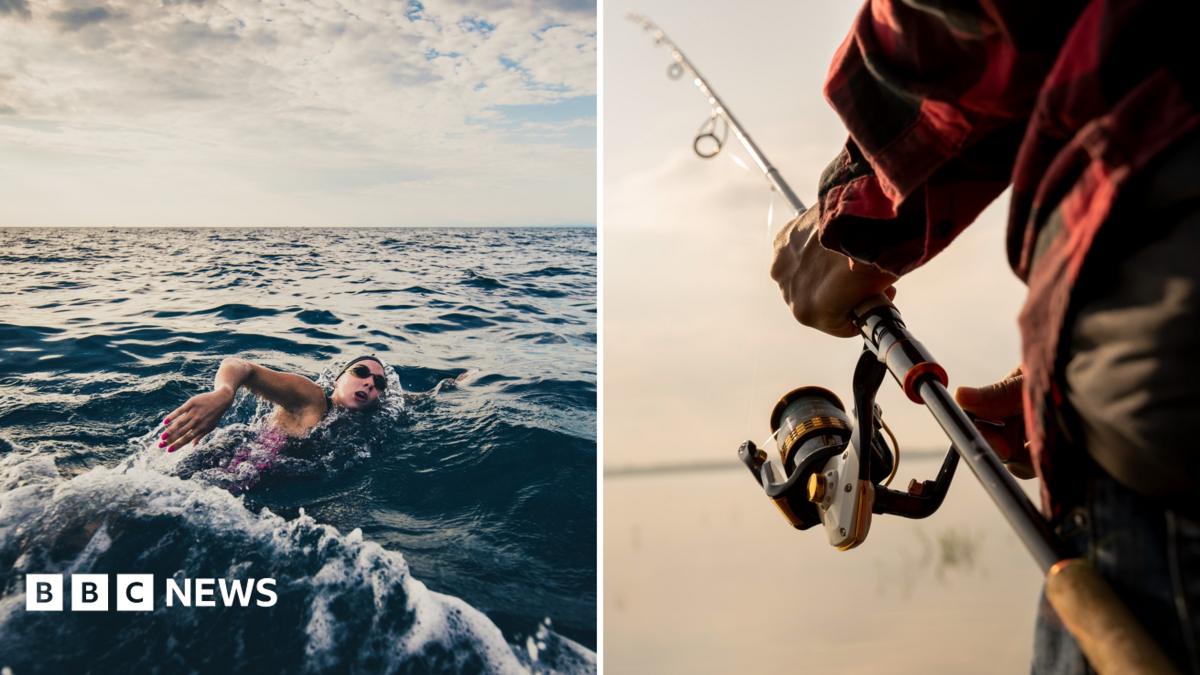 Devon sea swimmers tangled in anglers' lines - BBC News
