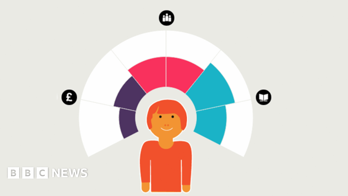 What is your 21st Century social class? - BBC News
