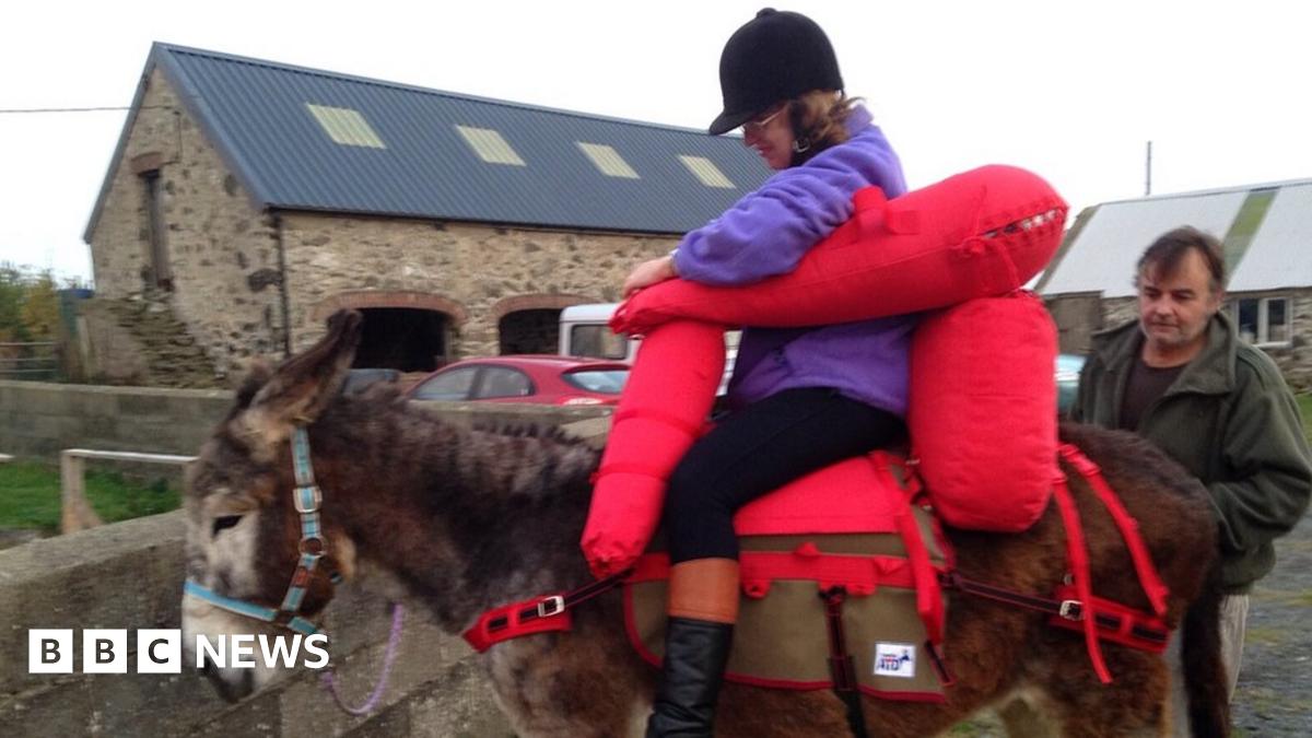 'Donkey ambulance' saddles developed in Wales helping mothers - BBC News