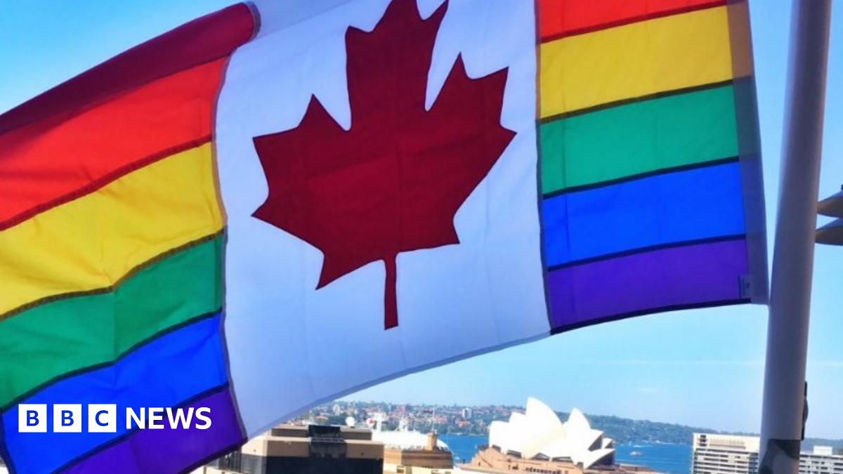 Rainbow flags fly for diversity day - BBC News