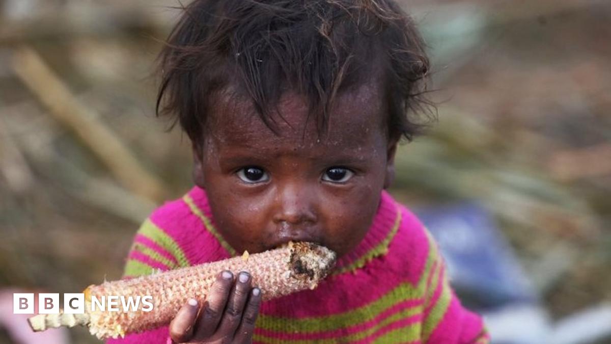 Mystery surrounds India health survey - BBC News