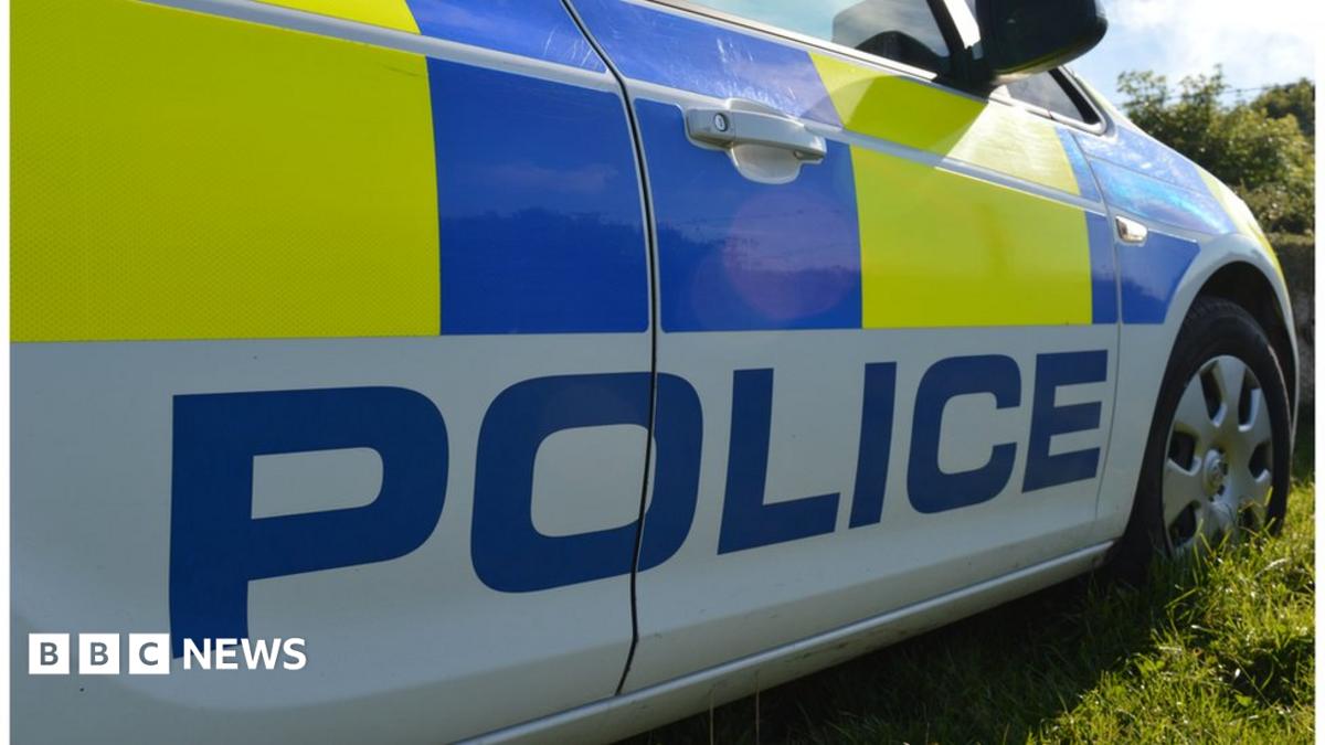 Devon crash: Driver in 70s dies and passenger critical - BBC News