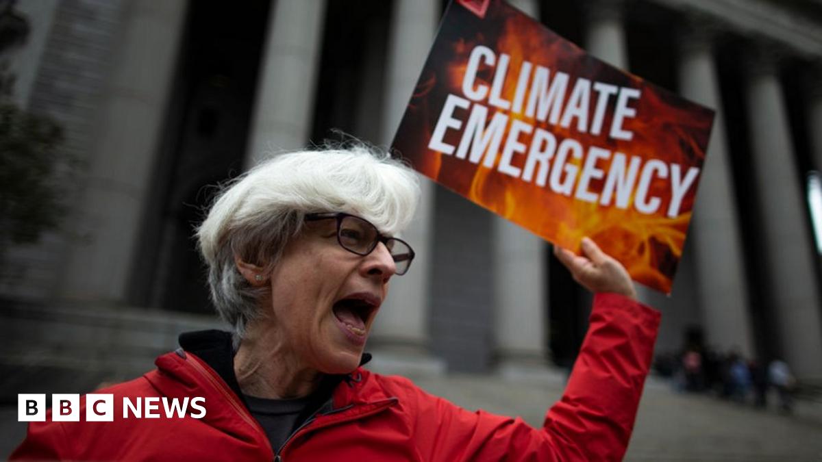 Green targets: Do governments meet them? - BBC News