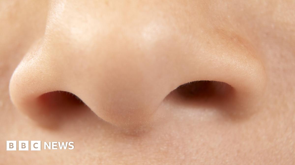 The potential to sniff out disease - BBC News