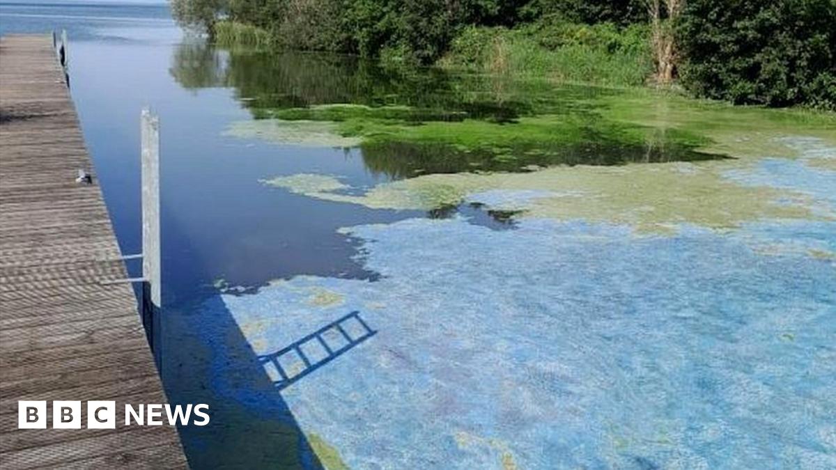 Blue-green algae map shows extent of Lough Neagh problems - BBC News