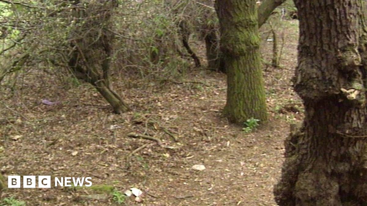 Baby Callum: Murder arrests over baby found in woods in 1998 - BBC News