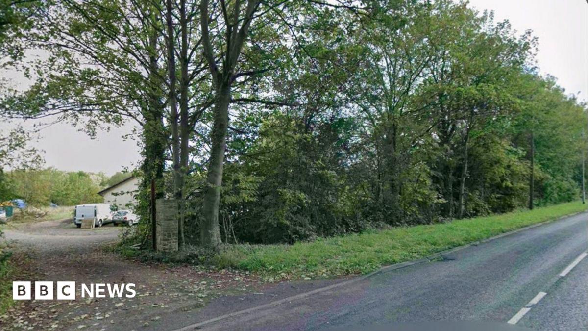 Homes near Lofthouse Colliery Nature Reserve approved - BBC News