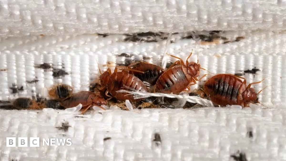 Bedbugs Sadiq Khan reassures Londoners over France problems BBC News