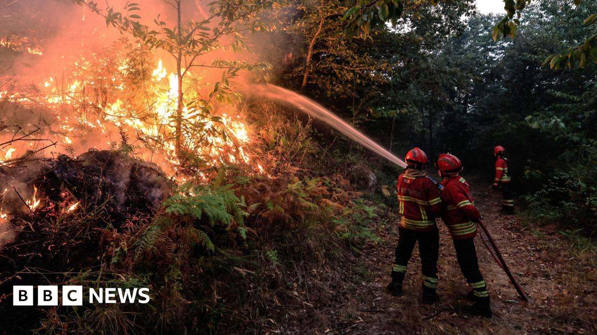 Portugal wildfires: three firefighters die as blazes 'rage across ...
