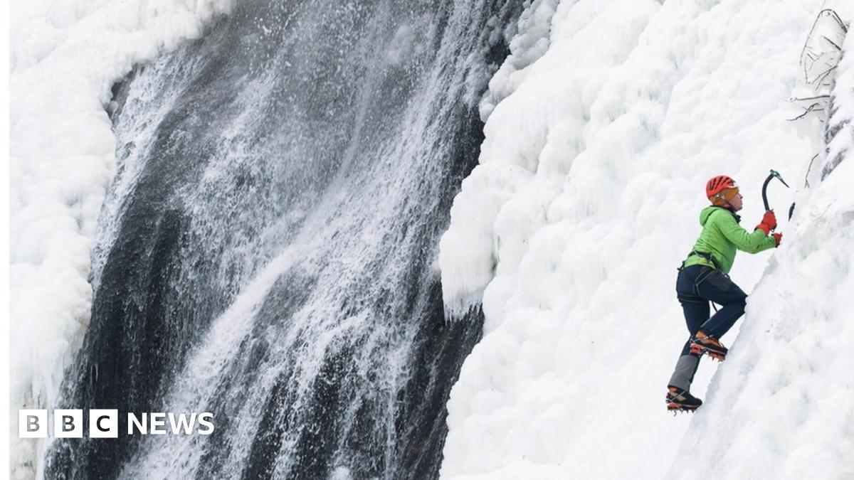 Your Pictures: 28 February - 6 March - BBC News