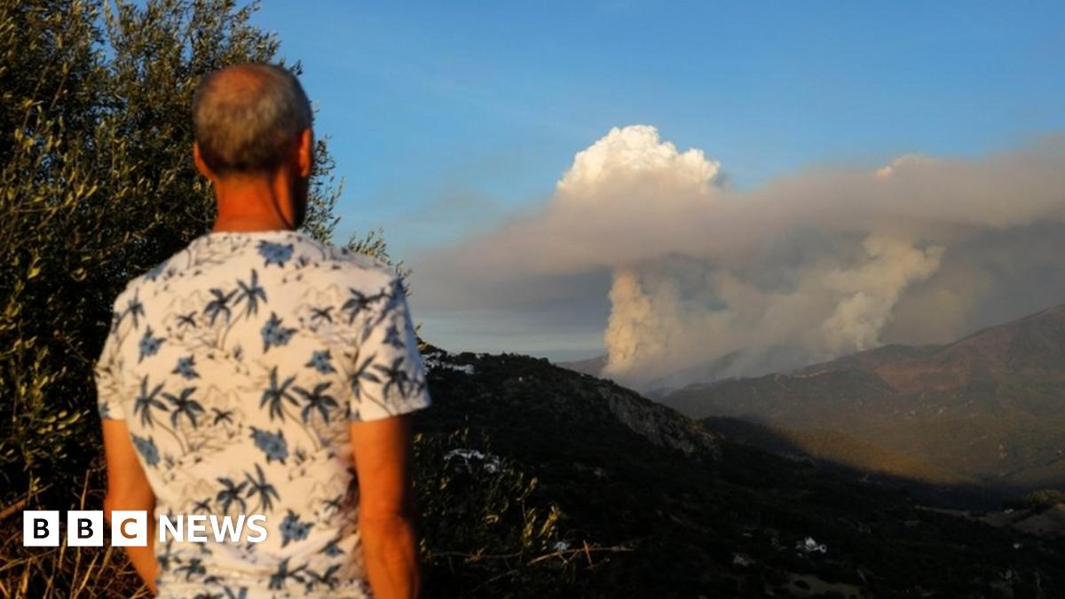 Spain fire: Thousands flee blaze near Costa del Sol town - BBC News