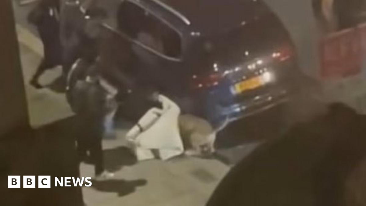 Battersea: Four men hurt in suspected XL bully attack - BBC News