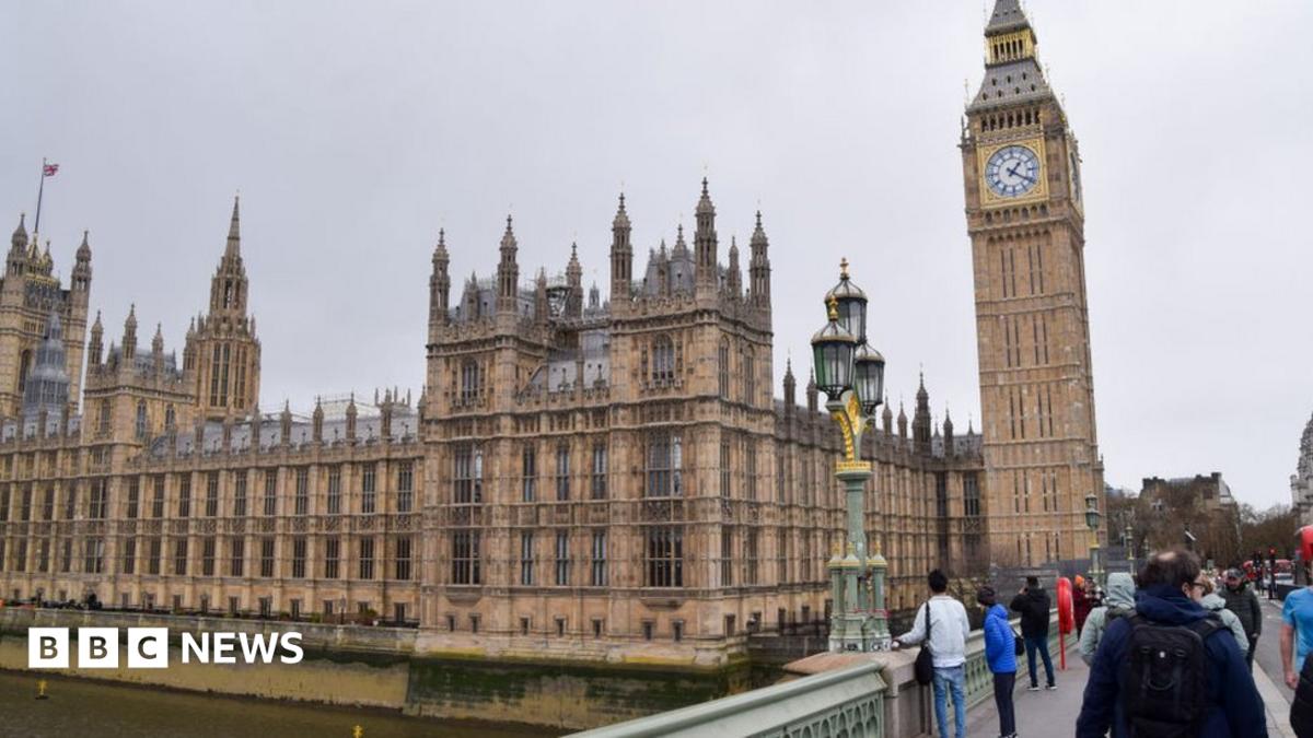 What's happening in Parliament next week? - BBC News