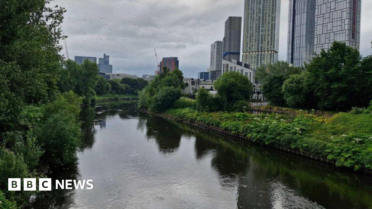 Manchester anglers furious as sewage reportedly dumped in river - BBC News