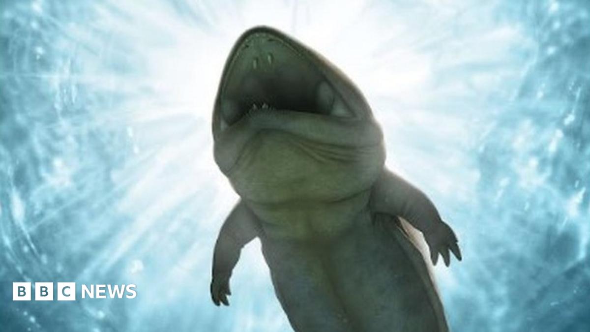 Ancient lizard-like species discovered in Australia - BBC News