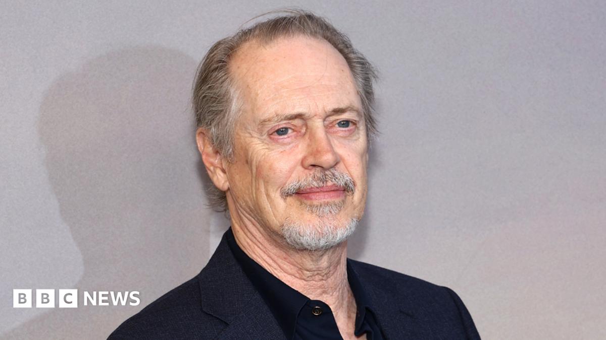 Steve Buscemi punched while walking street in New York - BBC News