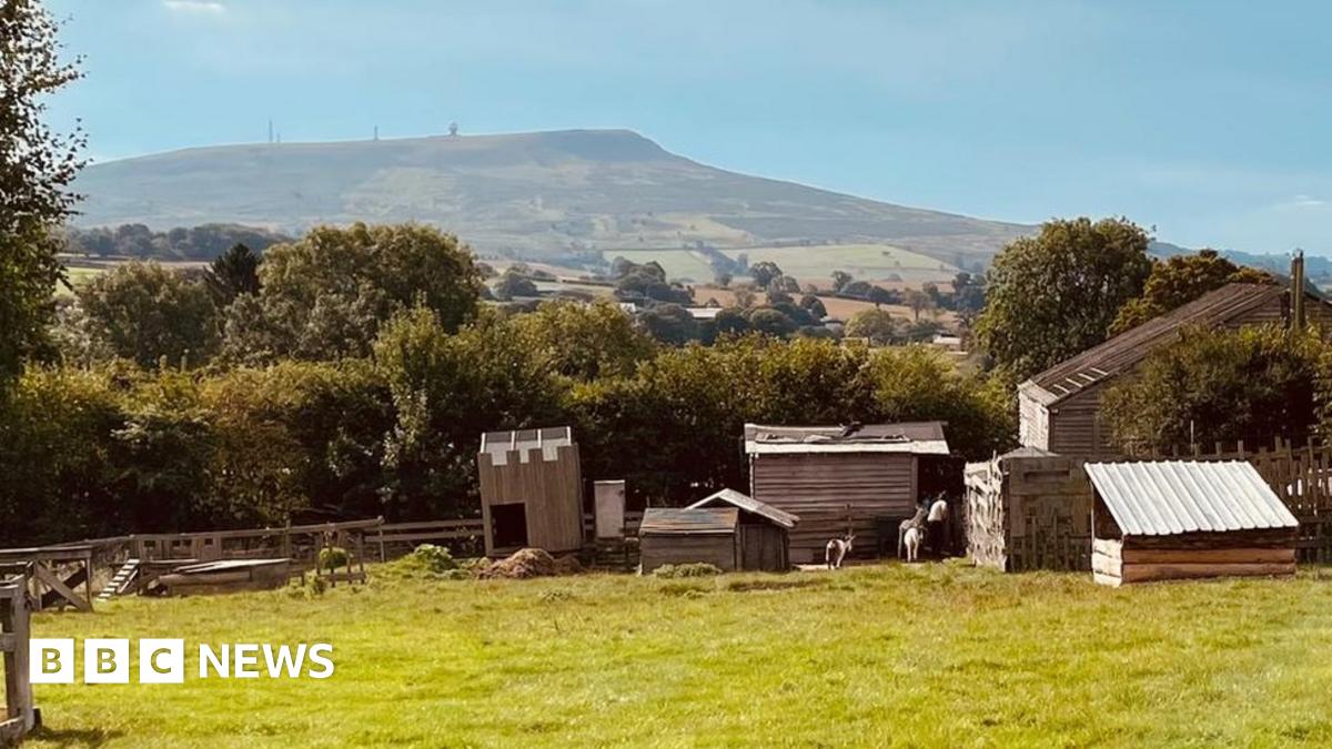 Ludlow farm that supports local children receives £15k grant - BBC News
